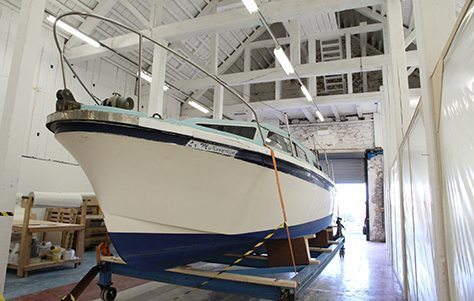 Project 31@50 - Celebrating Princess' 50th Anniversary